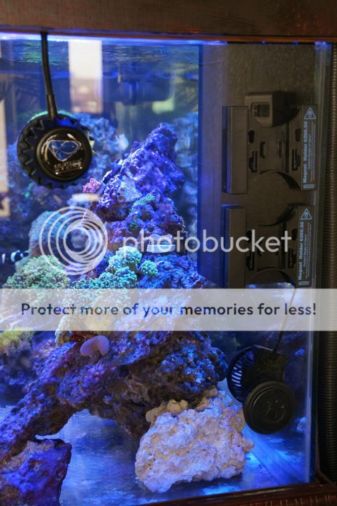 Tunze Wavebox 6215 | Reef2Reef